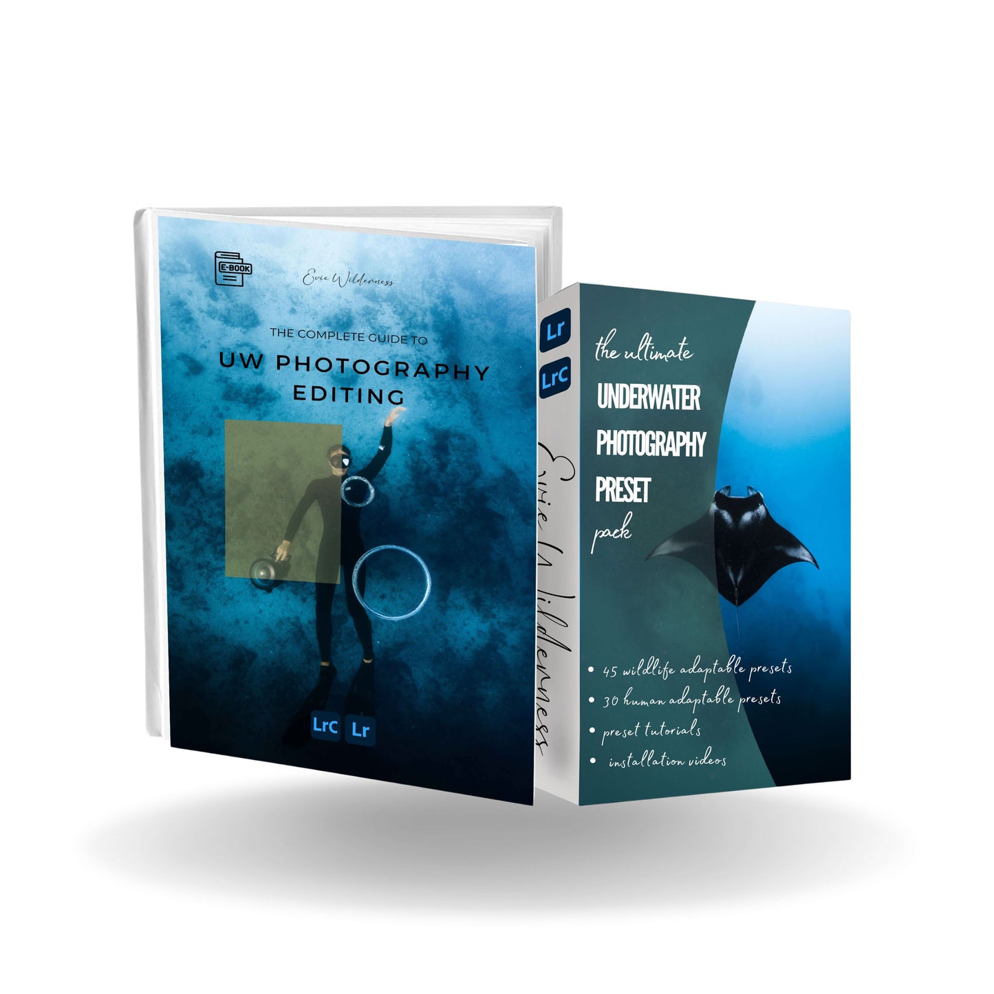 The Complete Guide to Underwater Photography Editing – Evie Wilderness