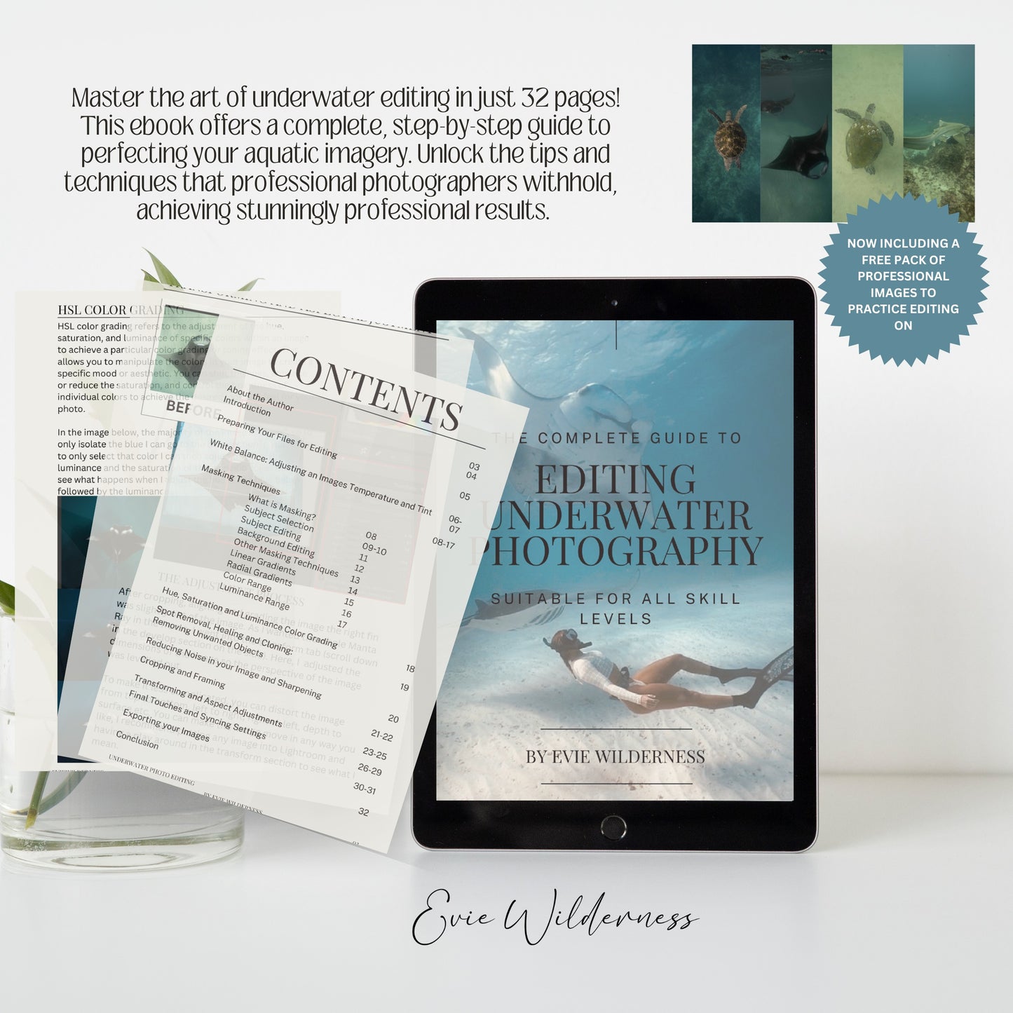 The Complete Guide to Underwater Photography Editing – Evie Wilderness